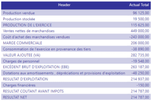 Construire vos états financiers sous Power BI - Groupe Delphisoft