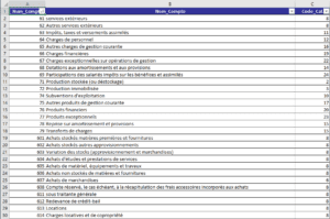 Construire vos états financiers sous Power BI - Groupe Delphisoft